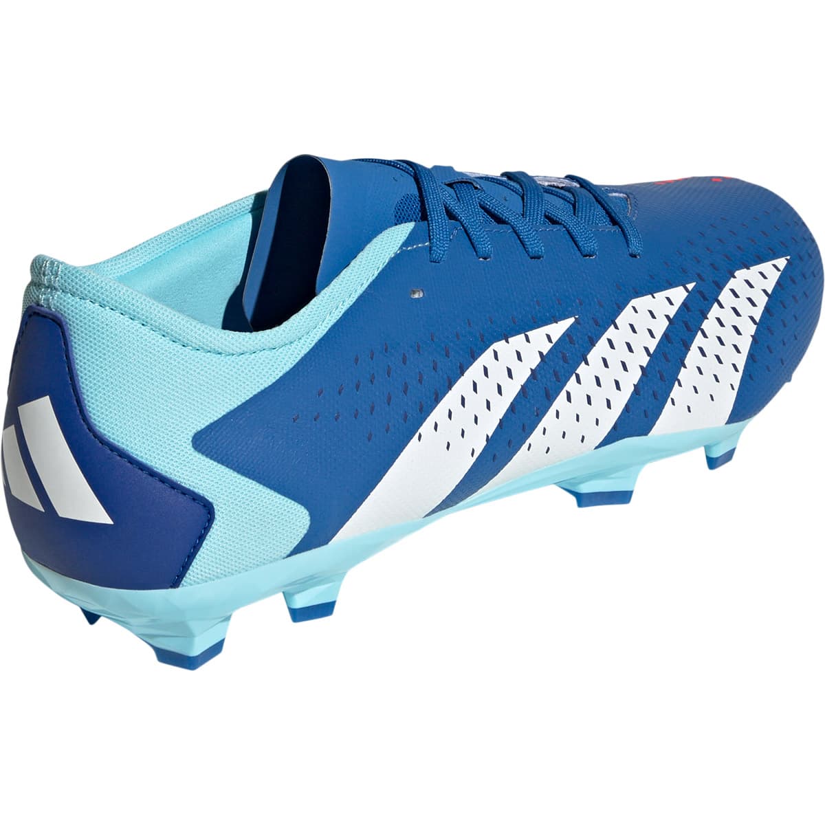 Køb adidas Predator Accuracy.3 Low FG Fodboldstøvler - Blå